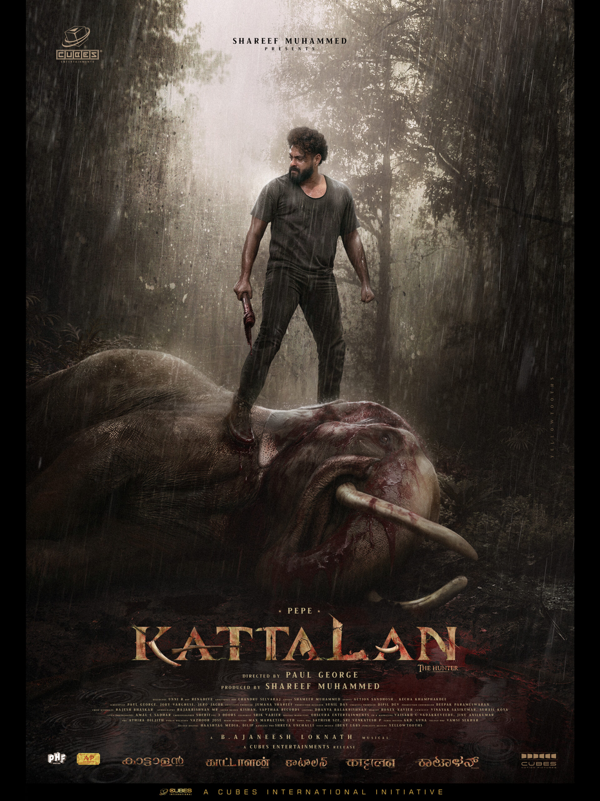 Kattalan Second Look Poster
